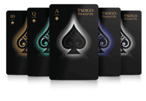 Tsogo Rewards Programme